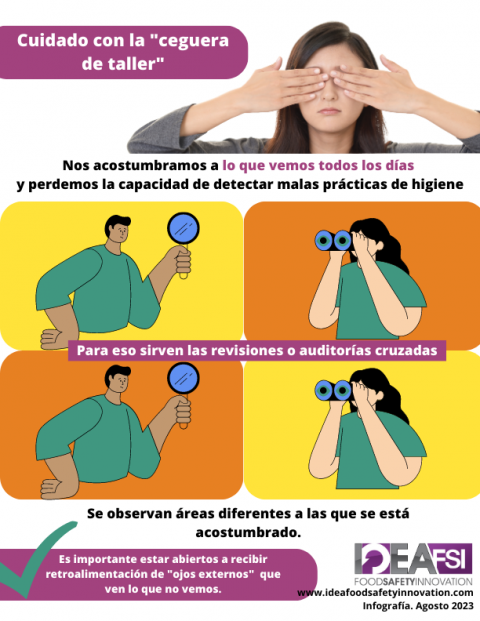 Infografías - FSI