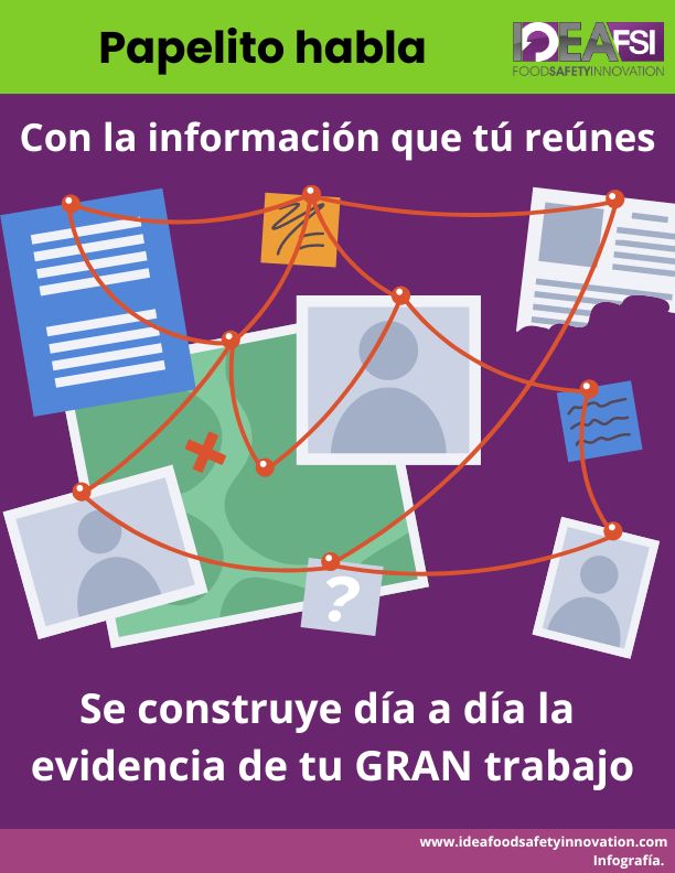 Infografías - FSI